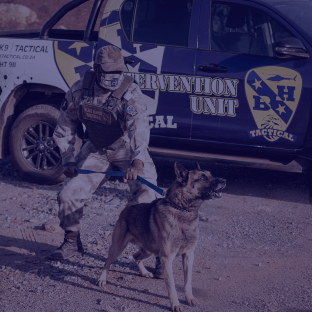 About Us - Blue Hawk Tactical